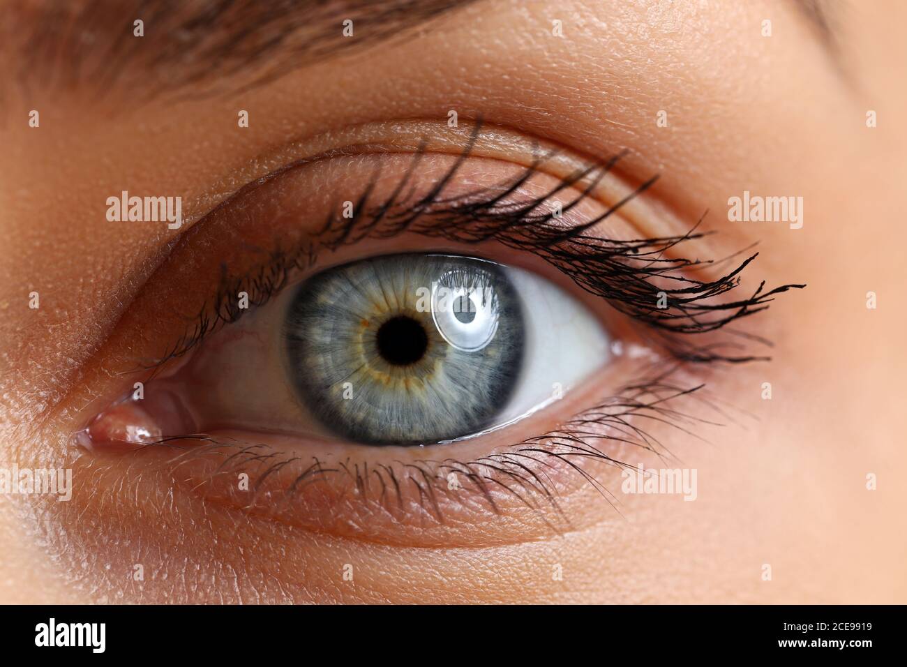 Female face part opened hi-res stock photography and images - Alamy