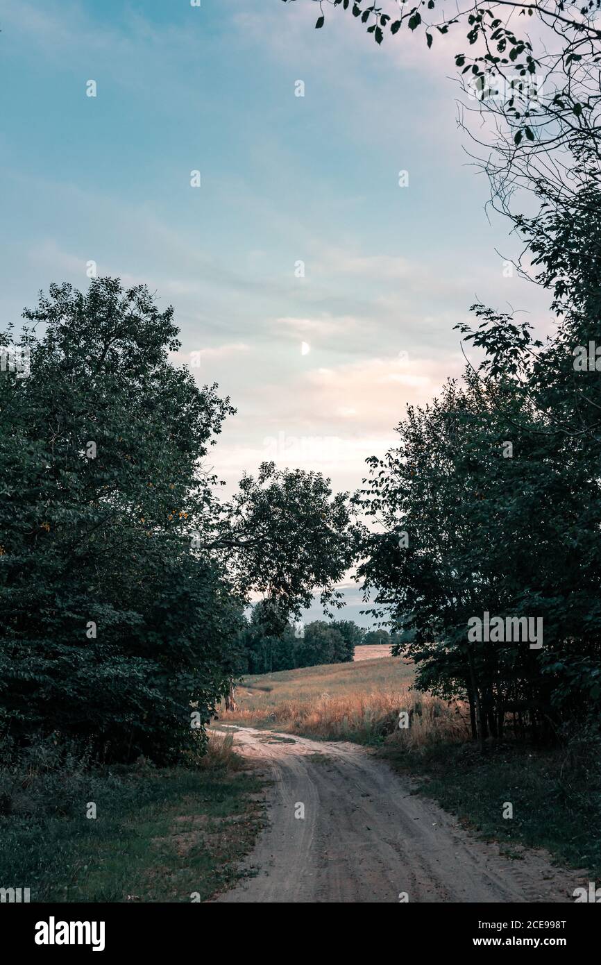 Dirt road through forest and fields at dusk with moon and blue sky ...