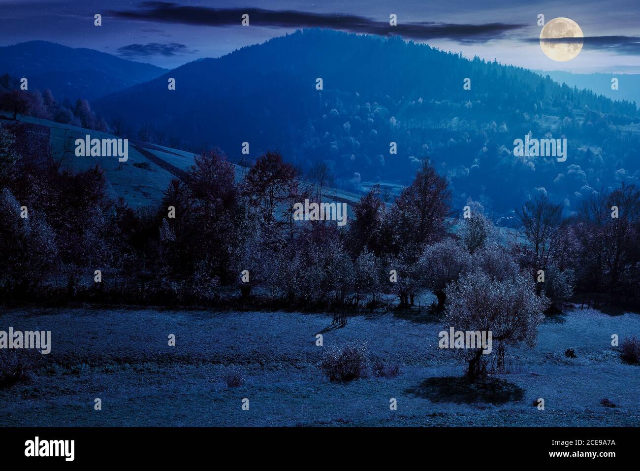 countryside autumn scene in mountains at night. trees in fall foliage ...
