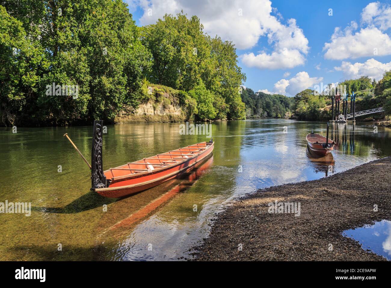 Two Maori waka (canoes) with carved wooden prows on the Waikato River ...
