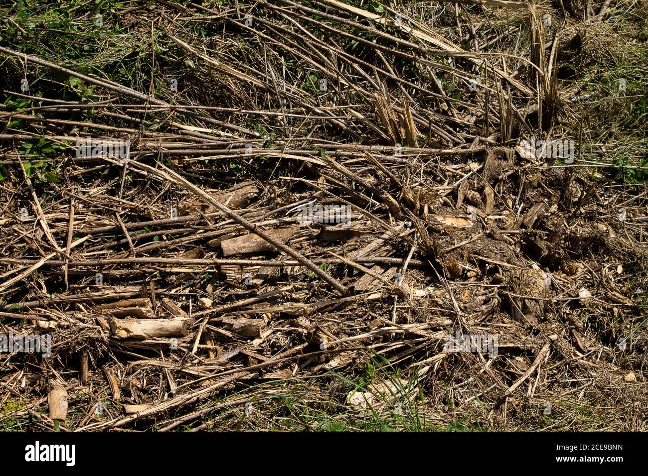 Wheatpaste poster texture hi-res stock photography and images - Alamy