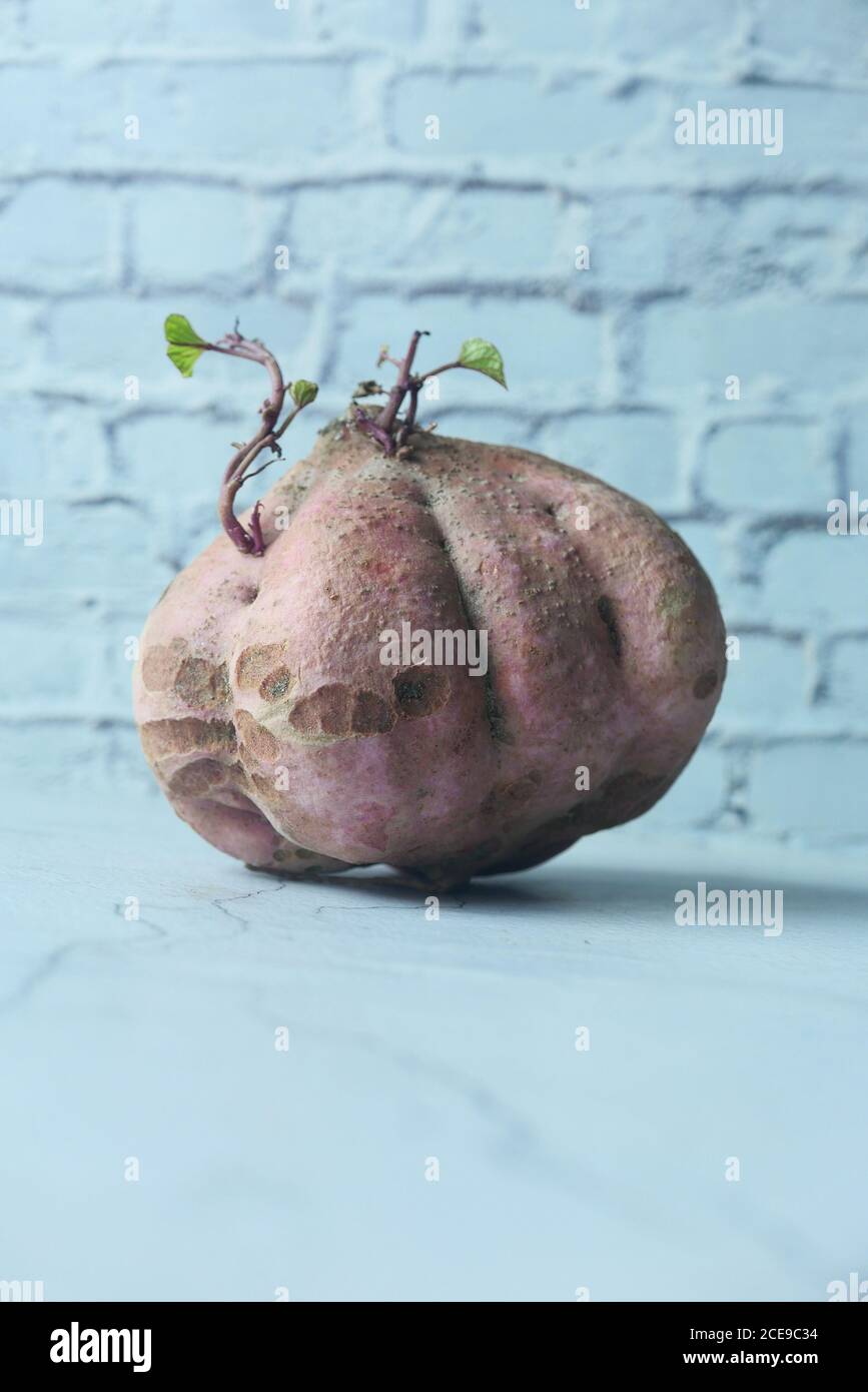 Close up sweet potato hi-res stock photography and images - Alamy