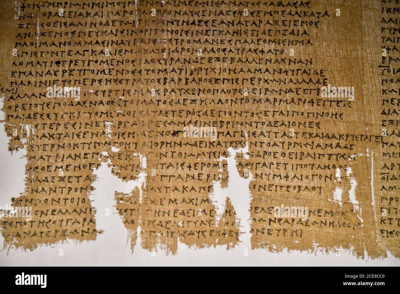 Egyptian archaeologist zahi hawass hi-res stock photography and images ...