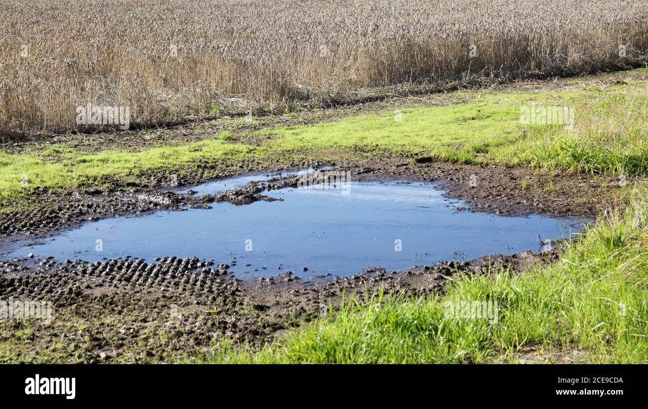 Flooding drought and cereals hi-res stock photography and images - Alamy