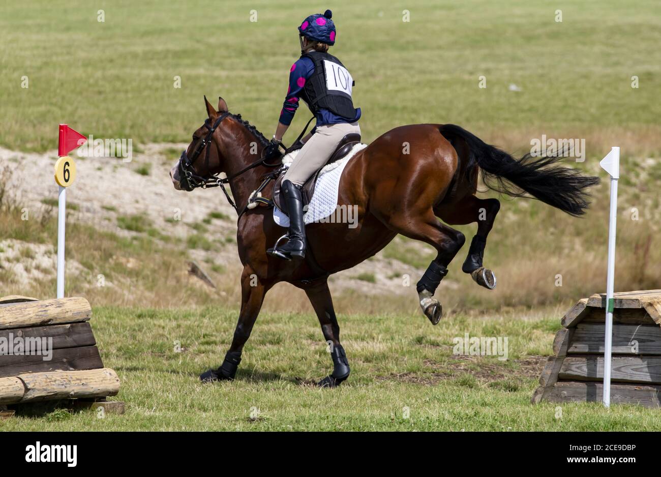 Horse landing after jump hi-res stock photography and images - Alamy