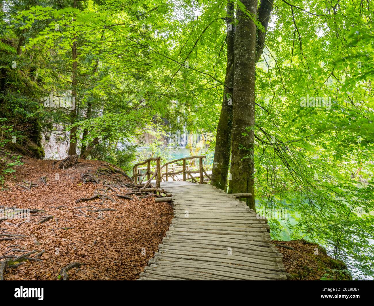 Wooden pathway path walkway trail National park Plitvice lakes in ...