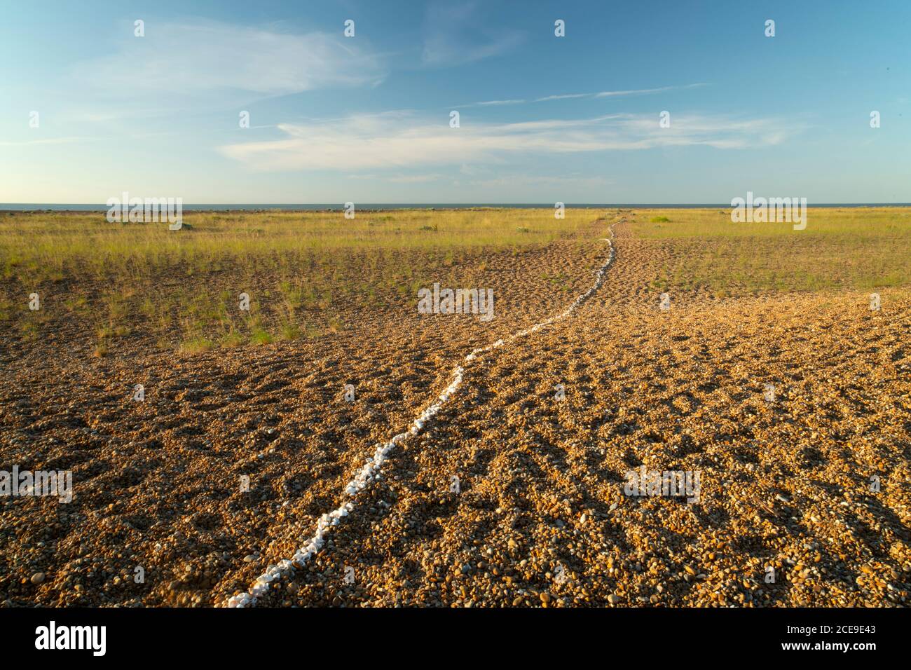 A trail of shells leading to the sea on Shingle Street, a beach on the ...