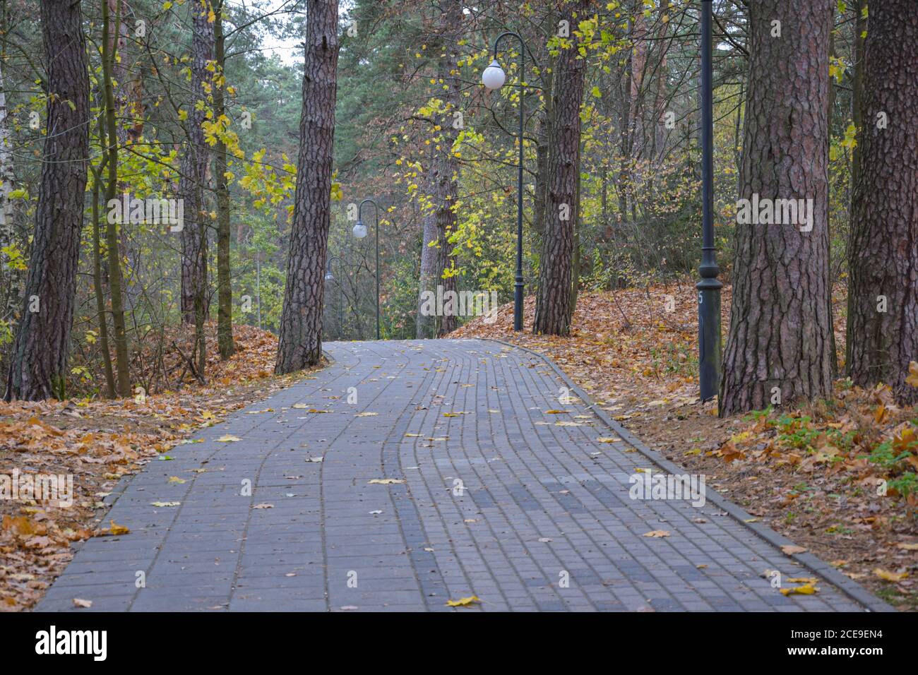 The city of Augustow in Poland Stock Photo - Alamy
