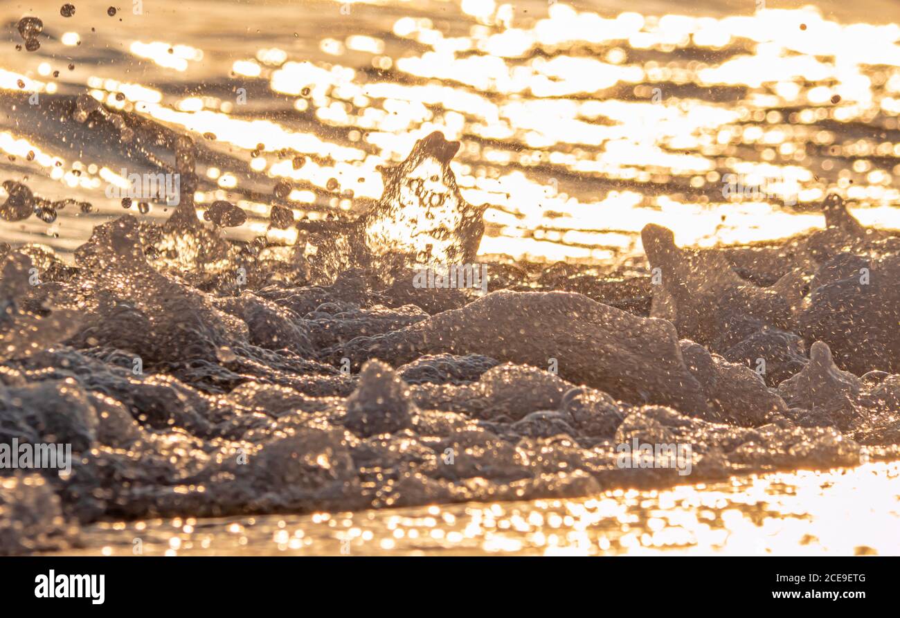 wave splash sea beach macro, close up Stock Photo - Alamy