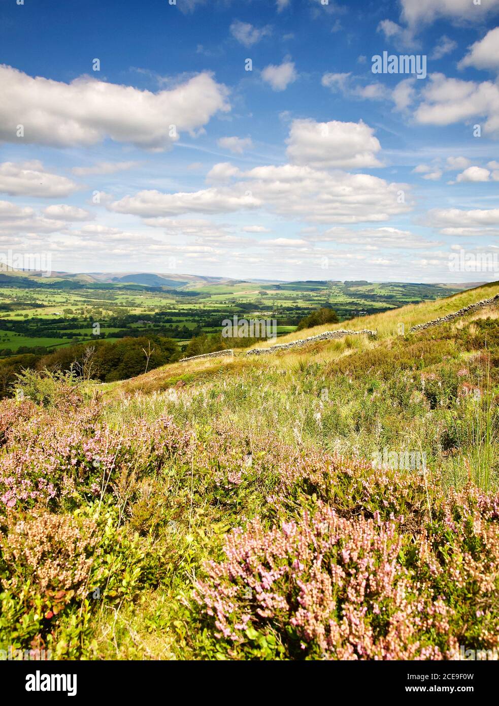 Jeffry hill hi-res stock photography and images - Alamy