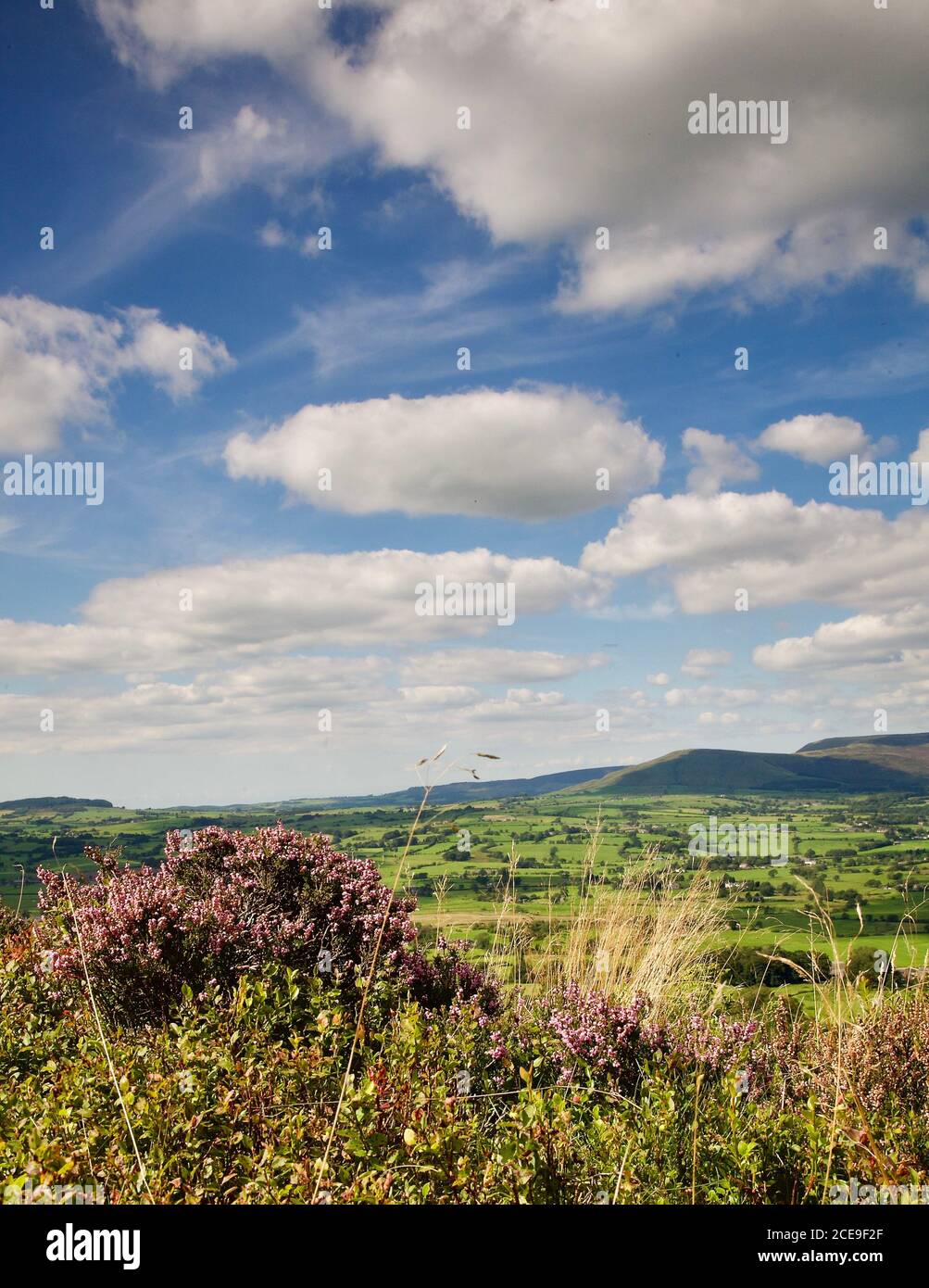 Ribble Valley from Jeffry Hill, late August Lancashire Stock Photo - Alamy