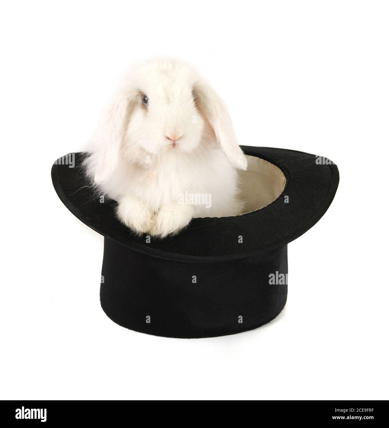 Black satin coat Cut Out Stock Images & Pictures - Alamy