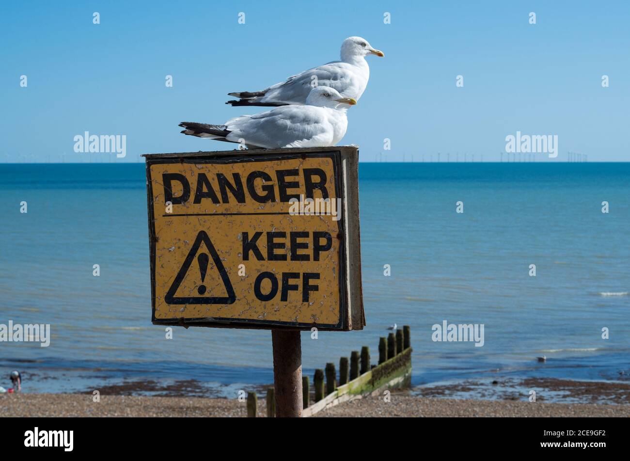 Seagull Warning Sign High Resolution Stock Photography and Images - Alamy