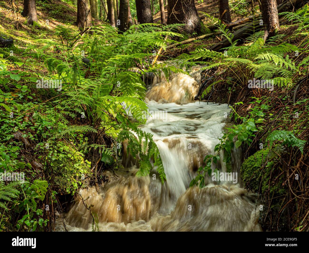 Ore mountains germany summer hi-res stock photography and images - Alamy