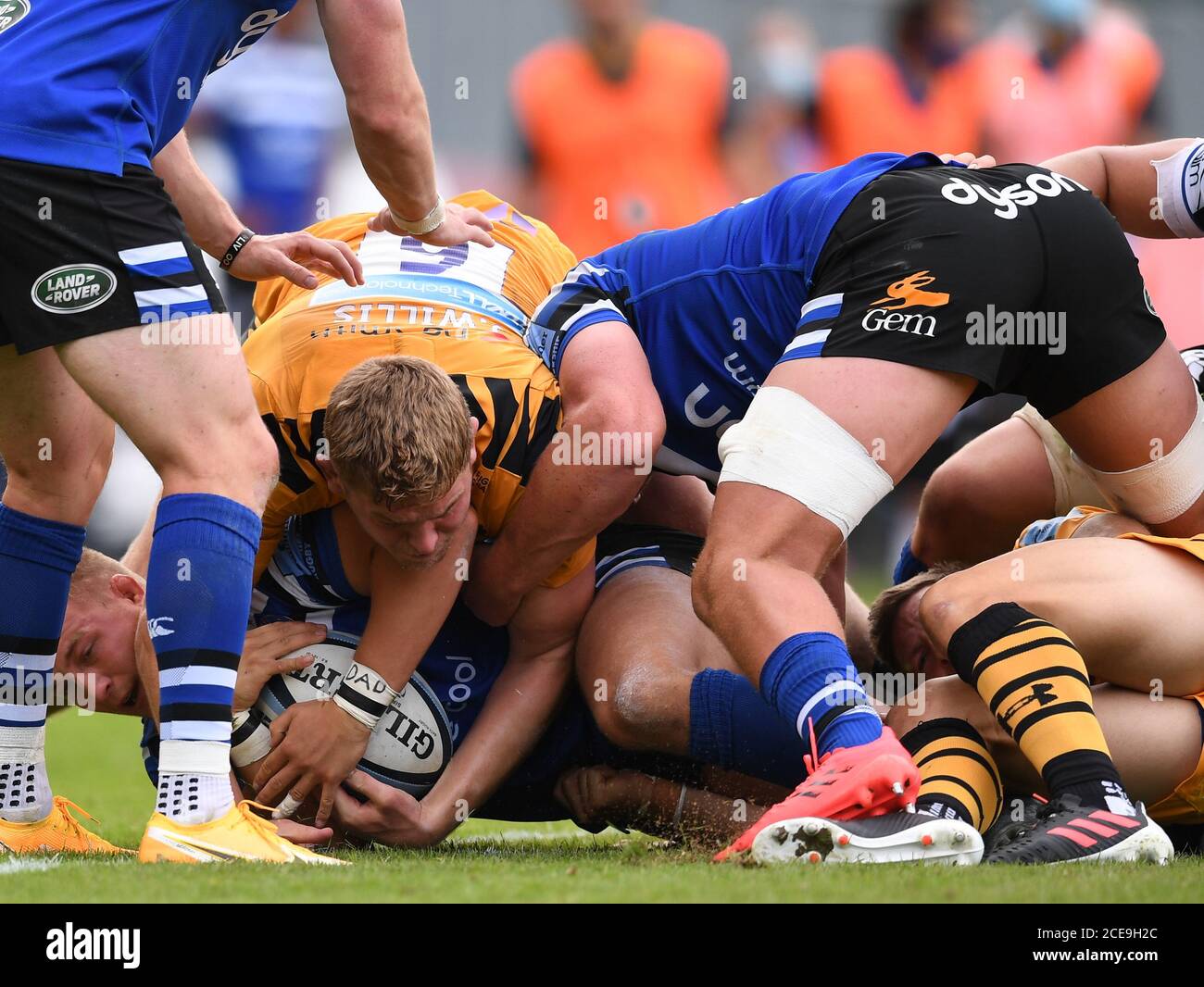 Jack willis wasps hi-res stock photography and images - Alamy