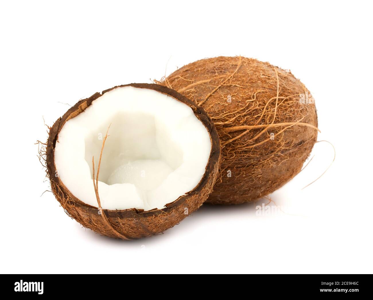 Coconut tree cut hi-res stock photography and images - Alamy