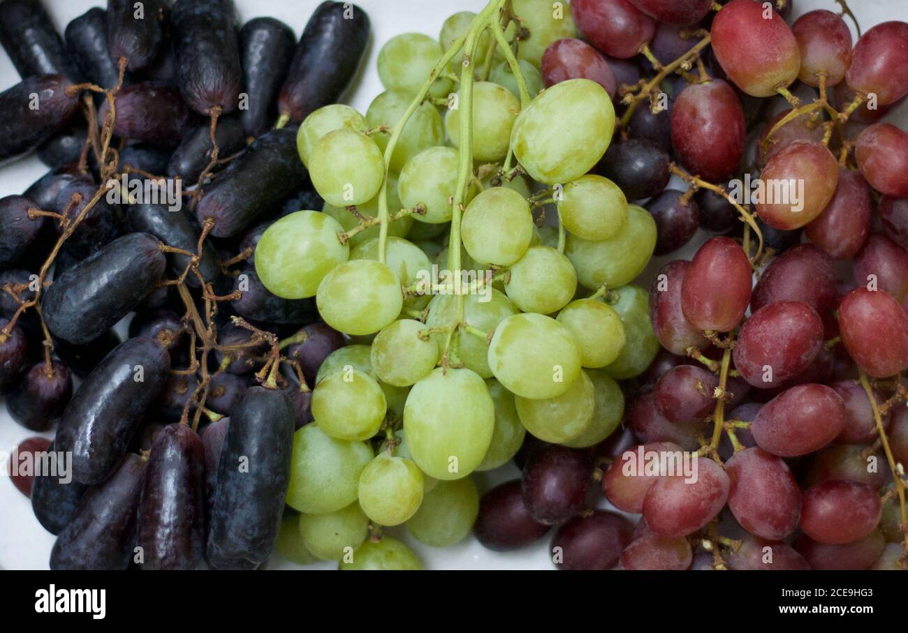 Different types of grapes hi-res stock photography and images - Alamy