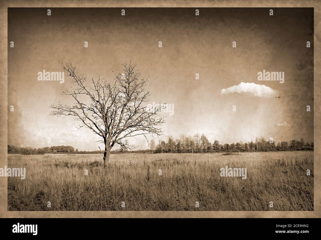 Aging themes hi-res stock photography and images - Alamy