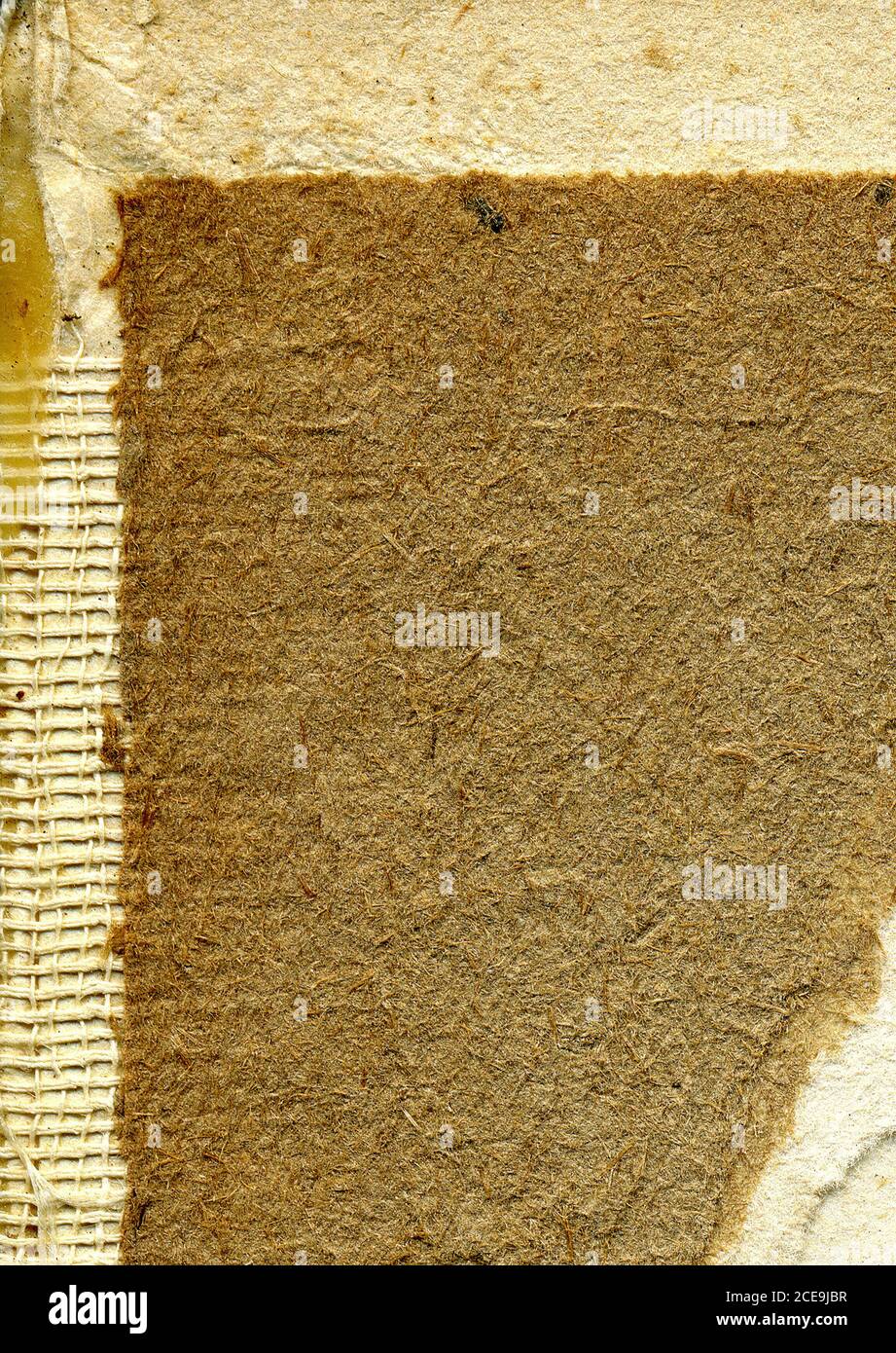 Water damaged paper hi-res stock photography and images - Alamy