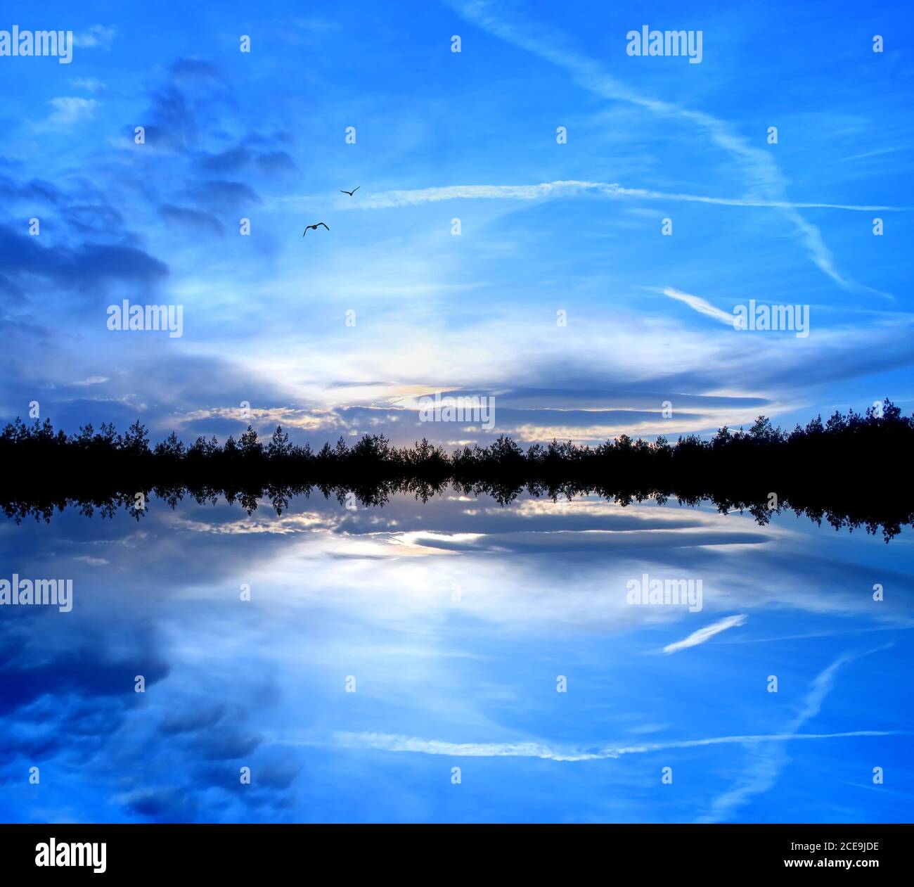 Nature in blue Stock Photo - Alamy