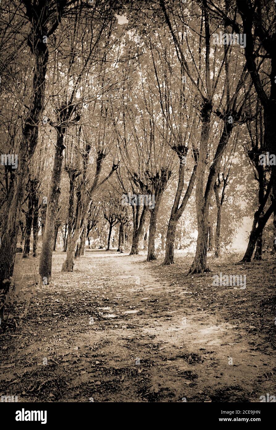 Nature photography archive hi-res stock photography and images - Alamy