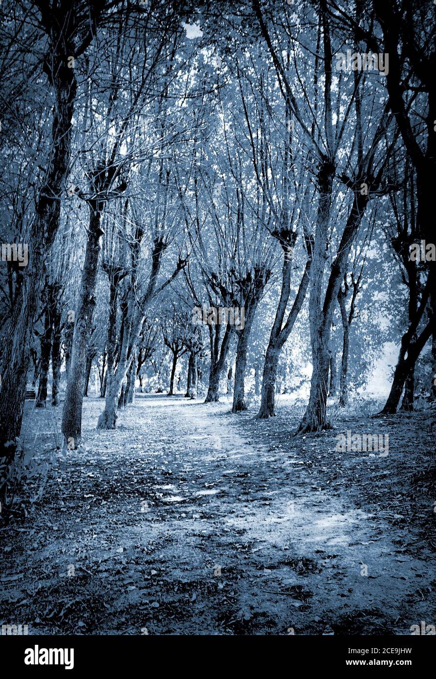 Autumn 1940 hi-res stock photography and images - Alamy