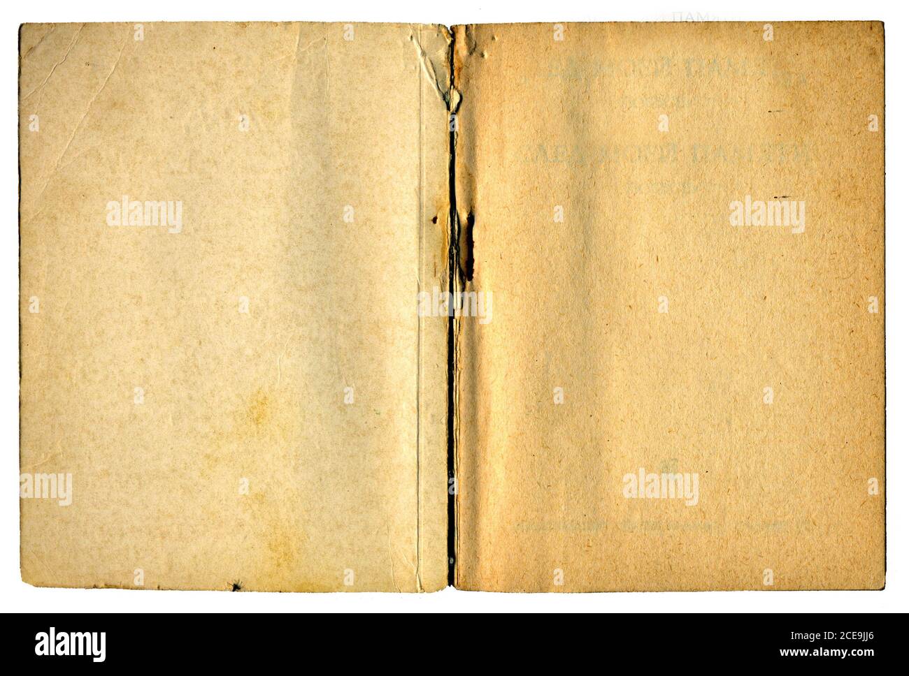 Copy pattern Cut Out Stock Images & Pictures - Alamy