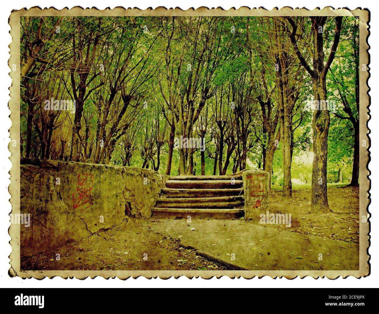 Empty green park Cut Out Stock Images & Pictures - Alamy