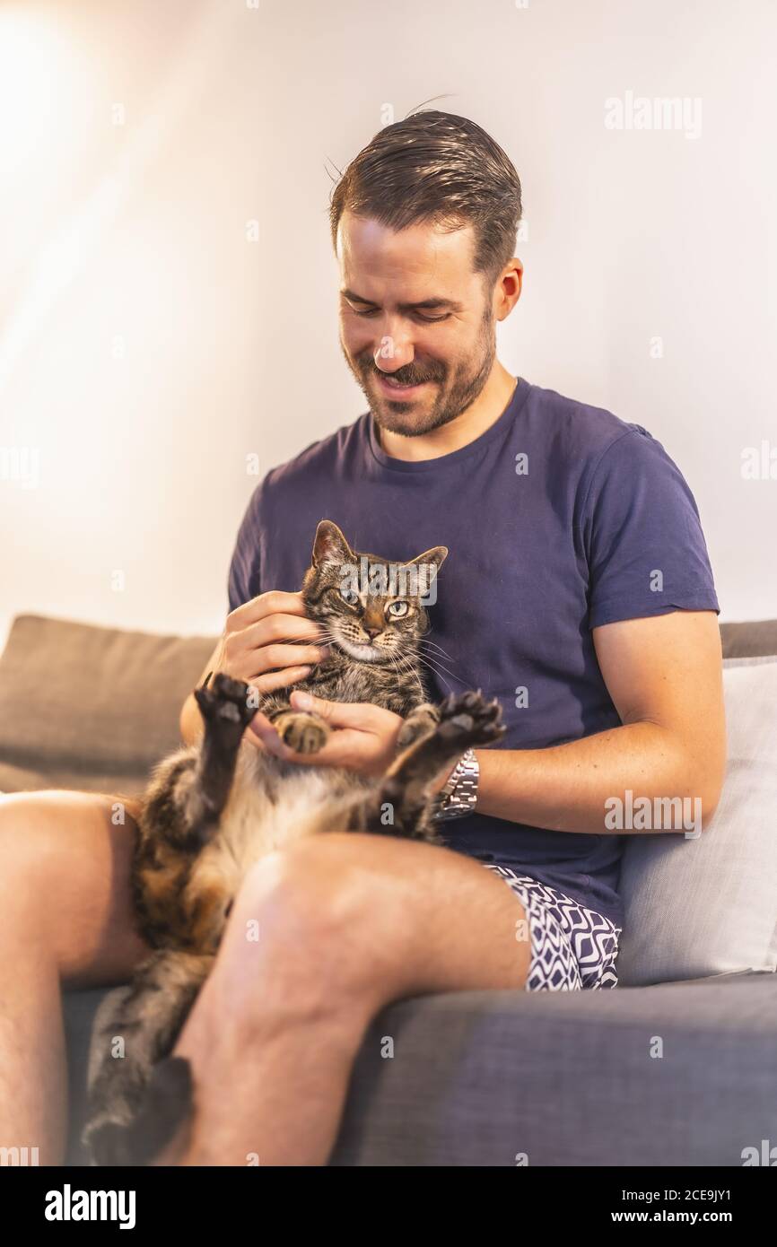 Male playing with his fluffy cat Stock Photo - Alamy