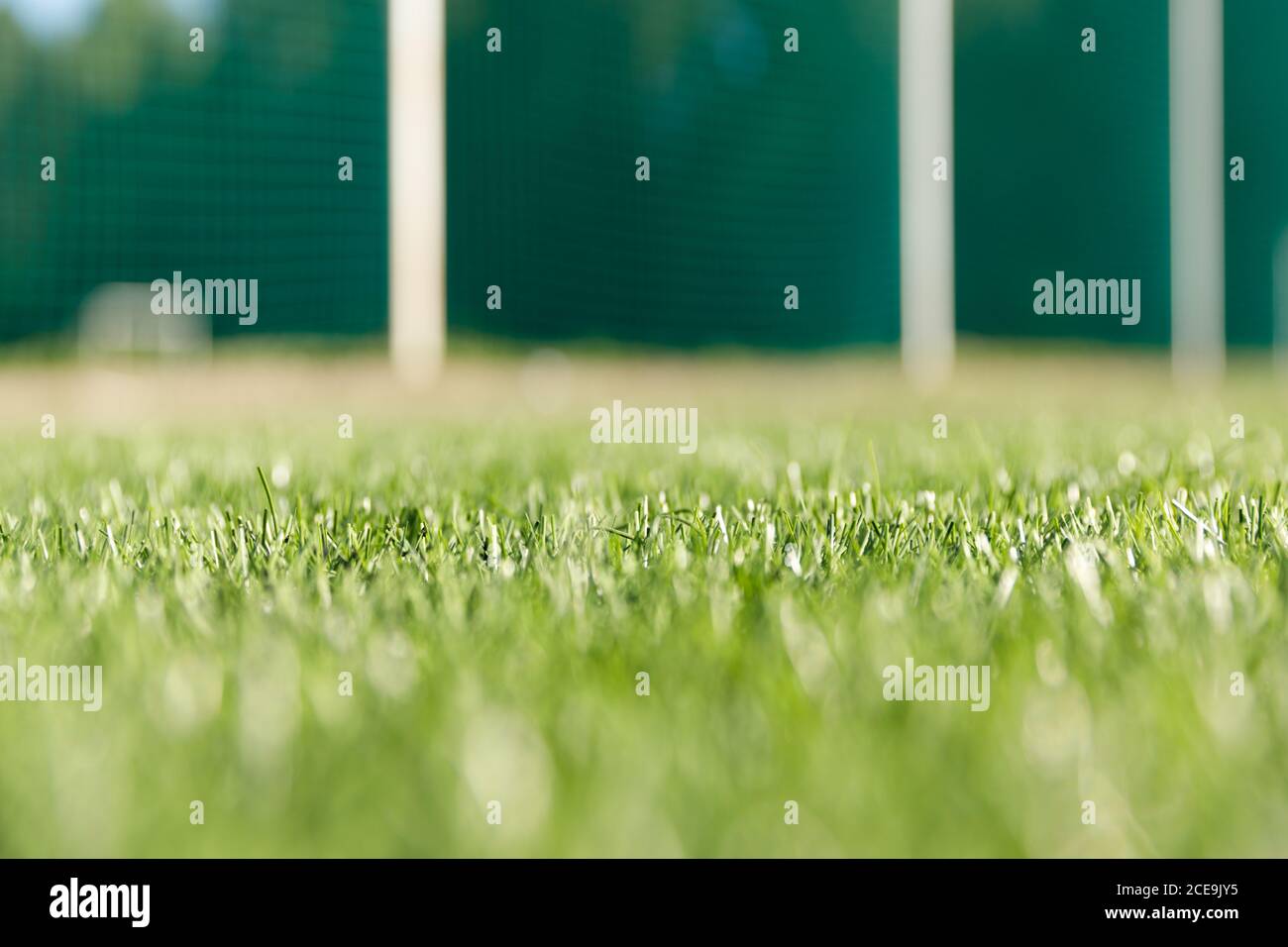 bright green grass. background for design Stock Photo - Alamy
