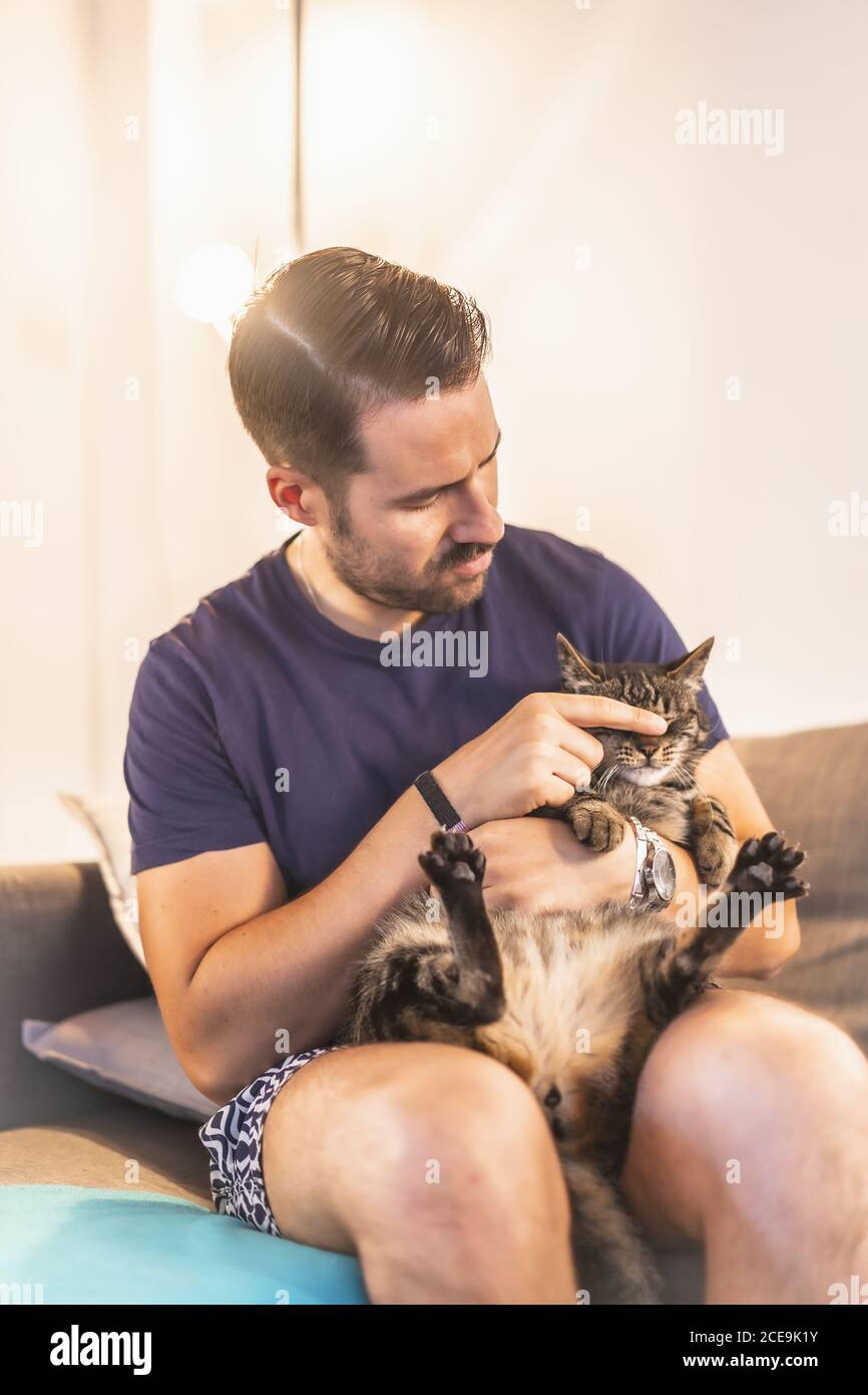 Vertical shot of a caucasian male playing with his fluffy cat Stock ...