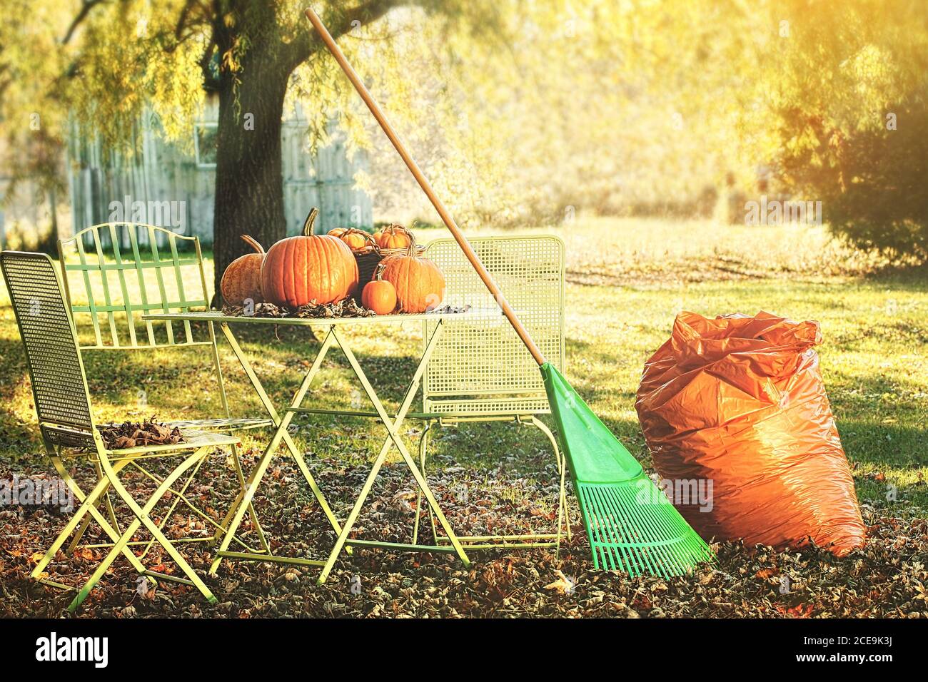 Racking leaves hi-res stock photography and images - Alamy