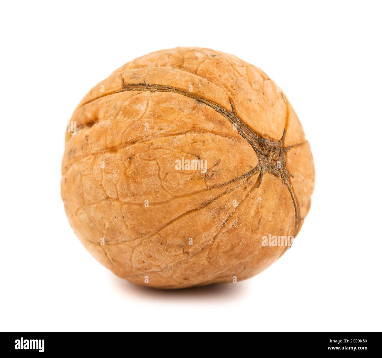 Walnut Cut Out Stock Images & Pictures - Alamy