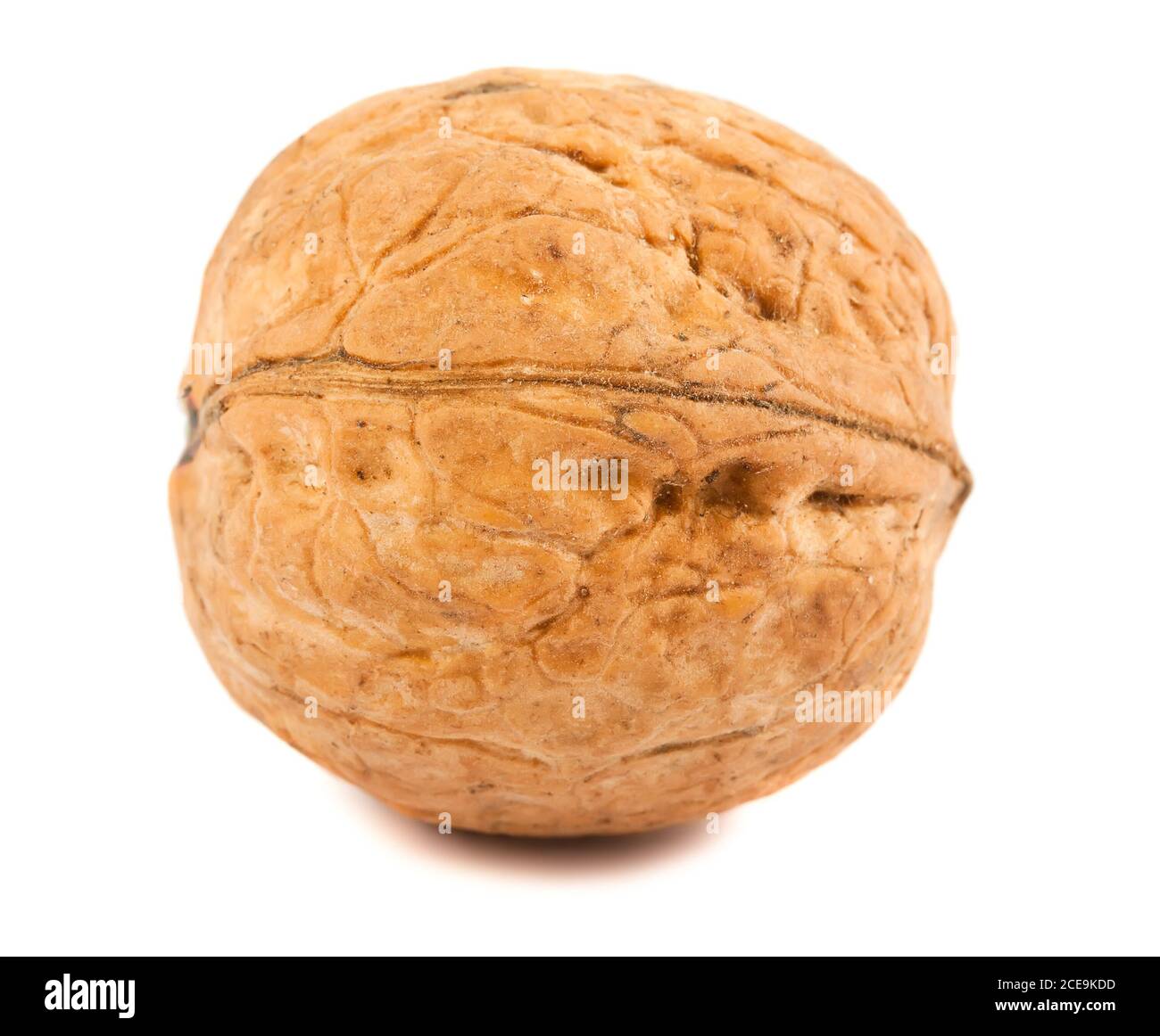 Walnut colour hi-res stock photography and images - Alamy