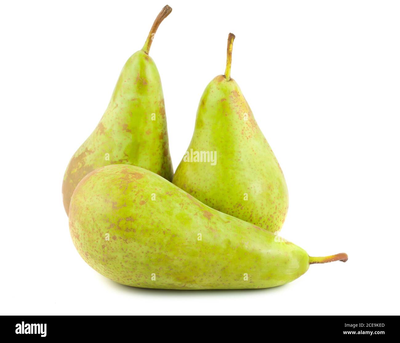 Bright green succulent Cut Out Stock Images & Pictures - Alamy