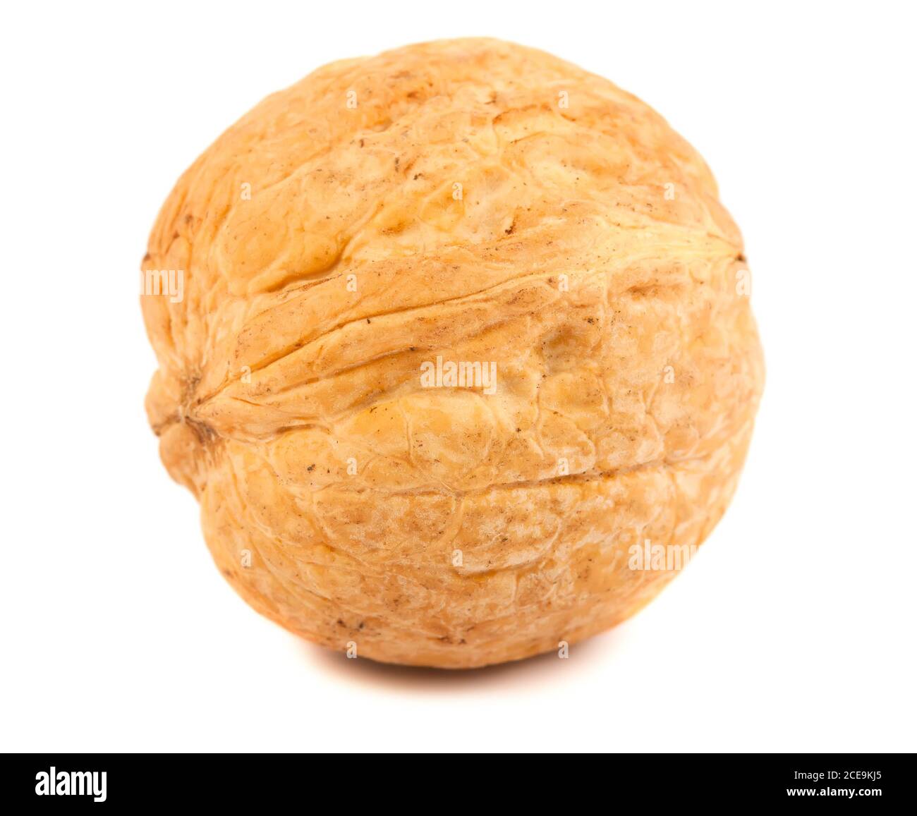 Walnut isolate hi-res stock photography and images - Alamy