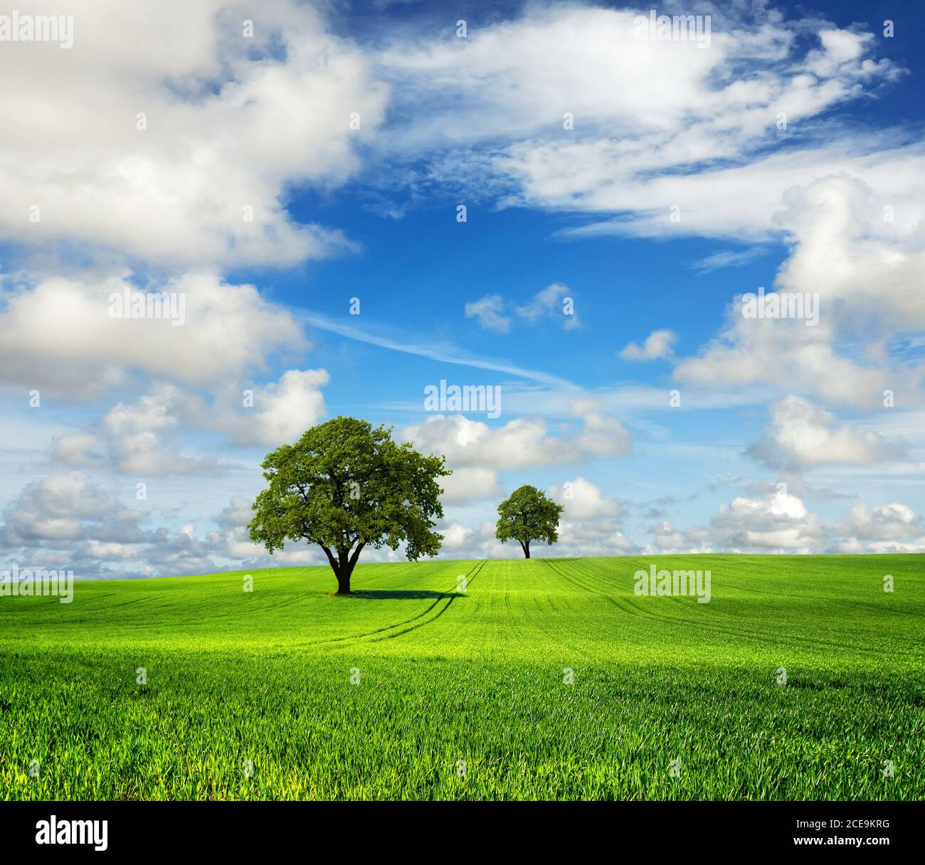 The great nature hi-res stock photography and images - Alamy