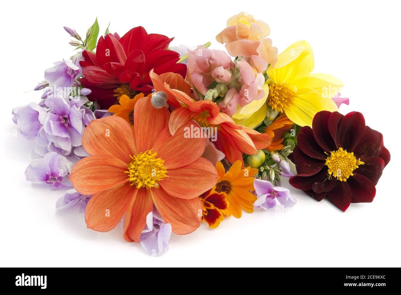 Want morning Cut Out Stock Images & Pictures - Alamy