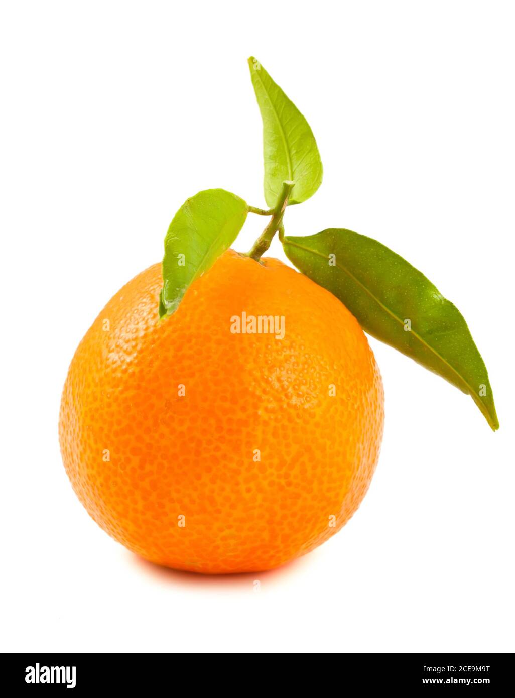 Edible tangerine hi-res stock photography and images - Alamy