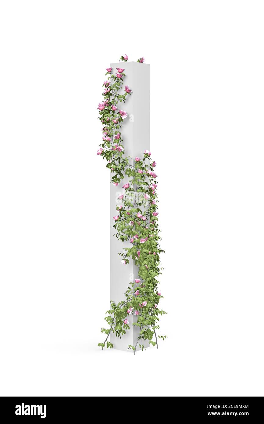 Pink roses with branches wrapped around a vertical square pole ...