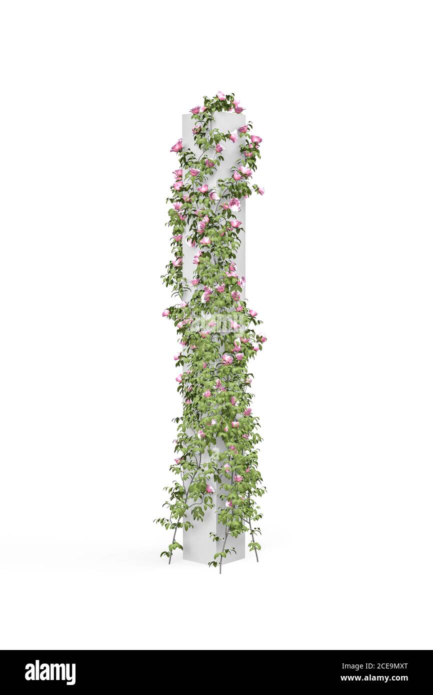 Pink roses with branches wrapped around a vertical square pole ...