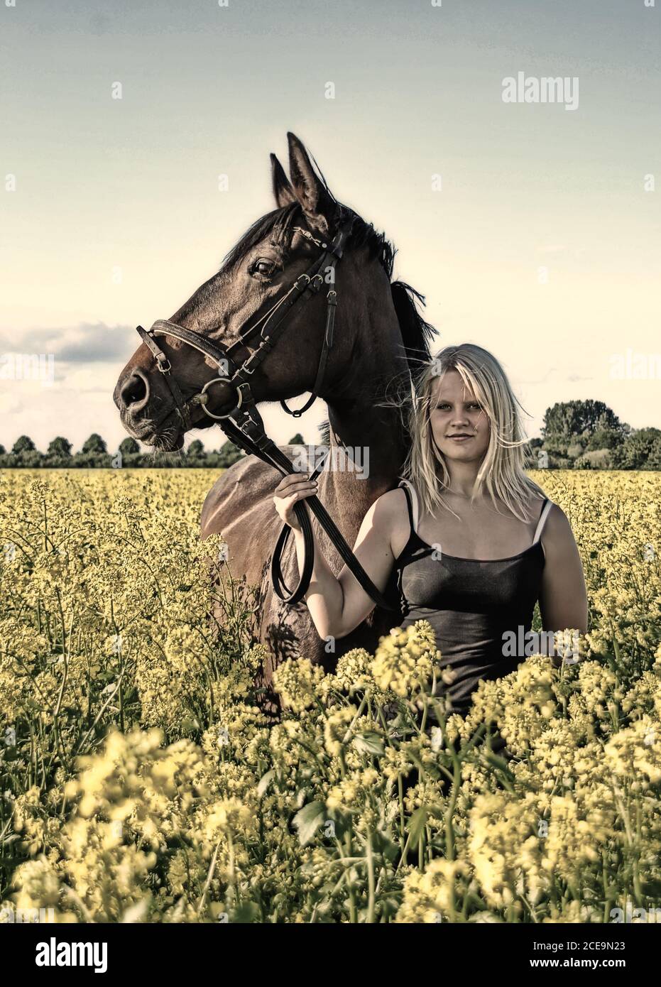 Northern riding hi-res stock photography and images - Alamy