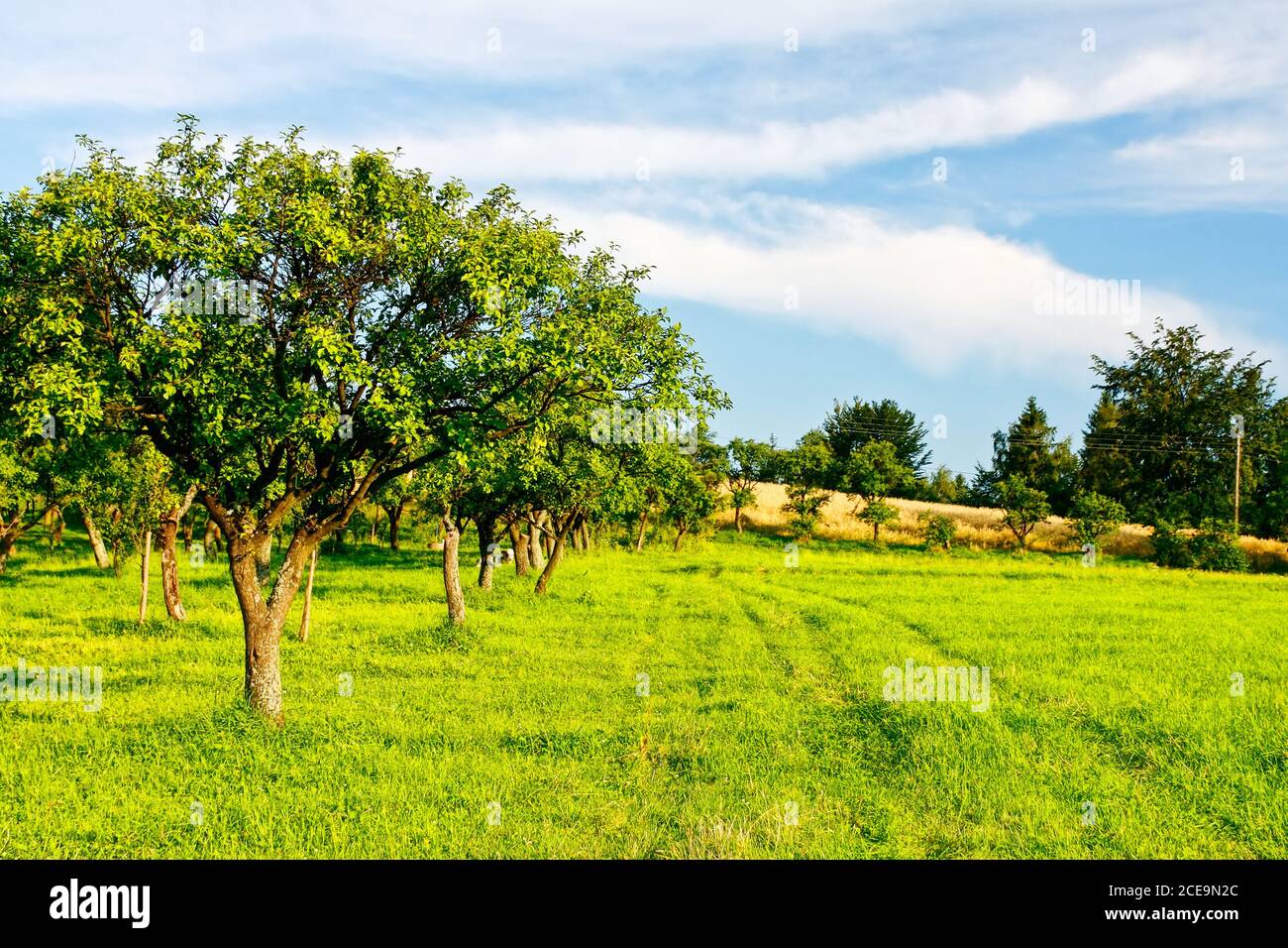 Country green landscape Stock Photo - Alamy