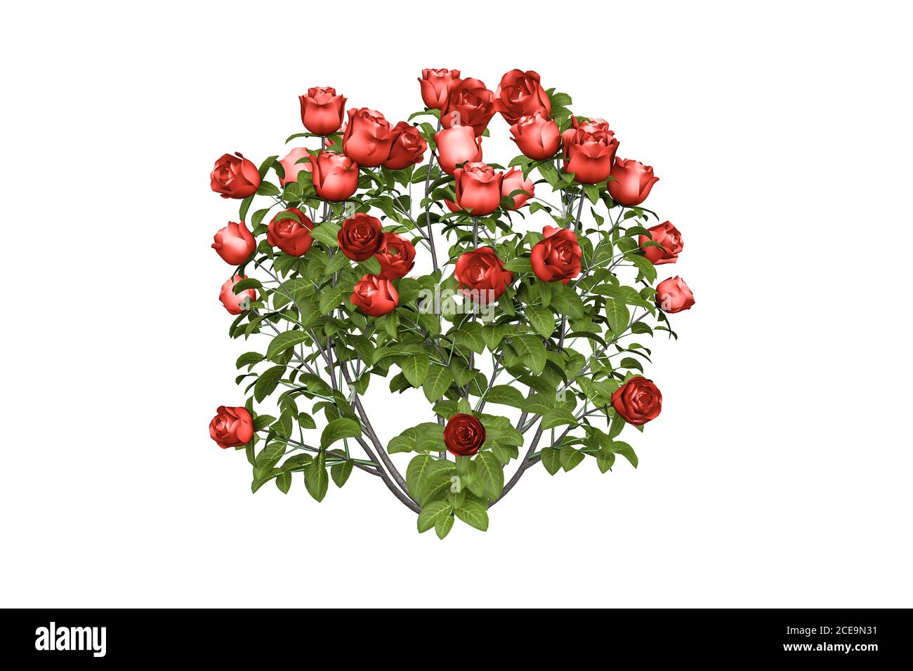 A bush of beautiful red roses on white background - 3D render Stock ...