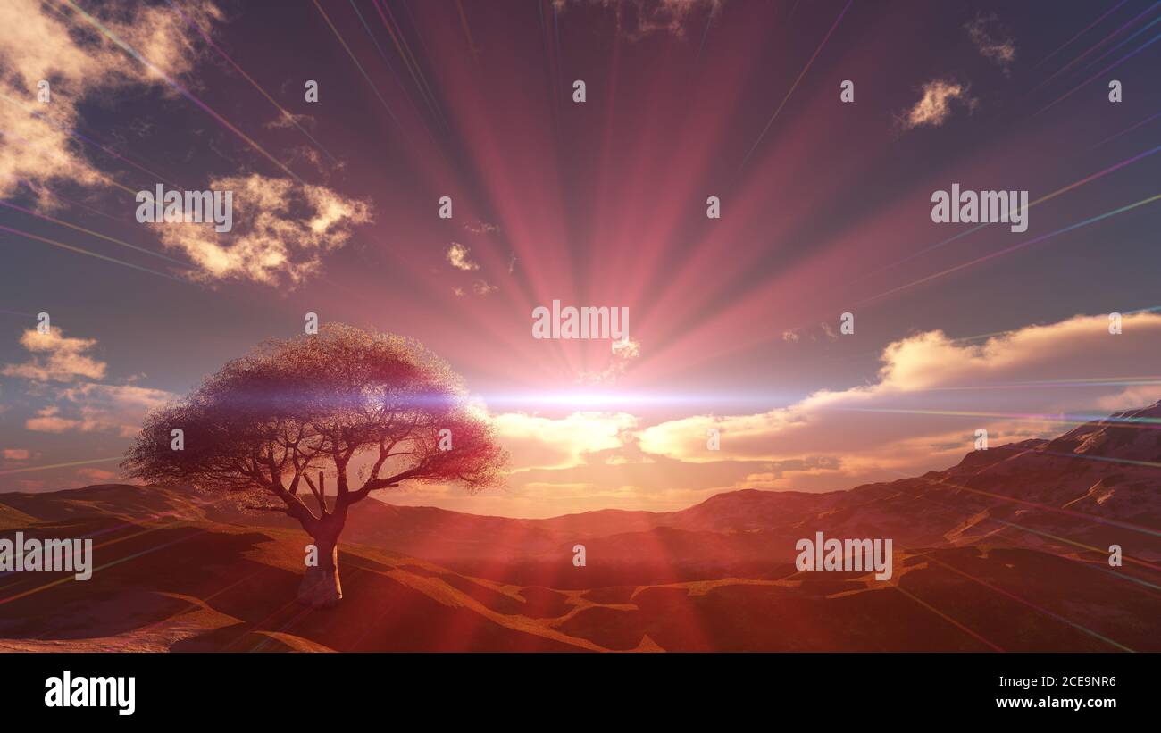 sunset at meadow and lonely tree, 3d render illustration Stock Photo ...