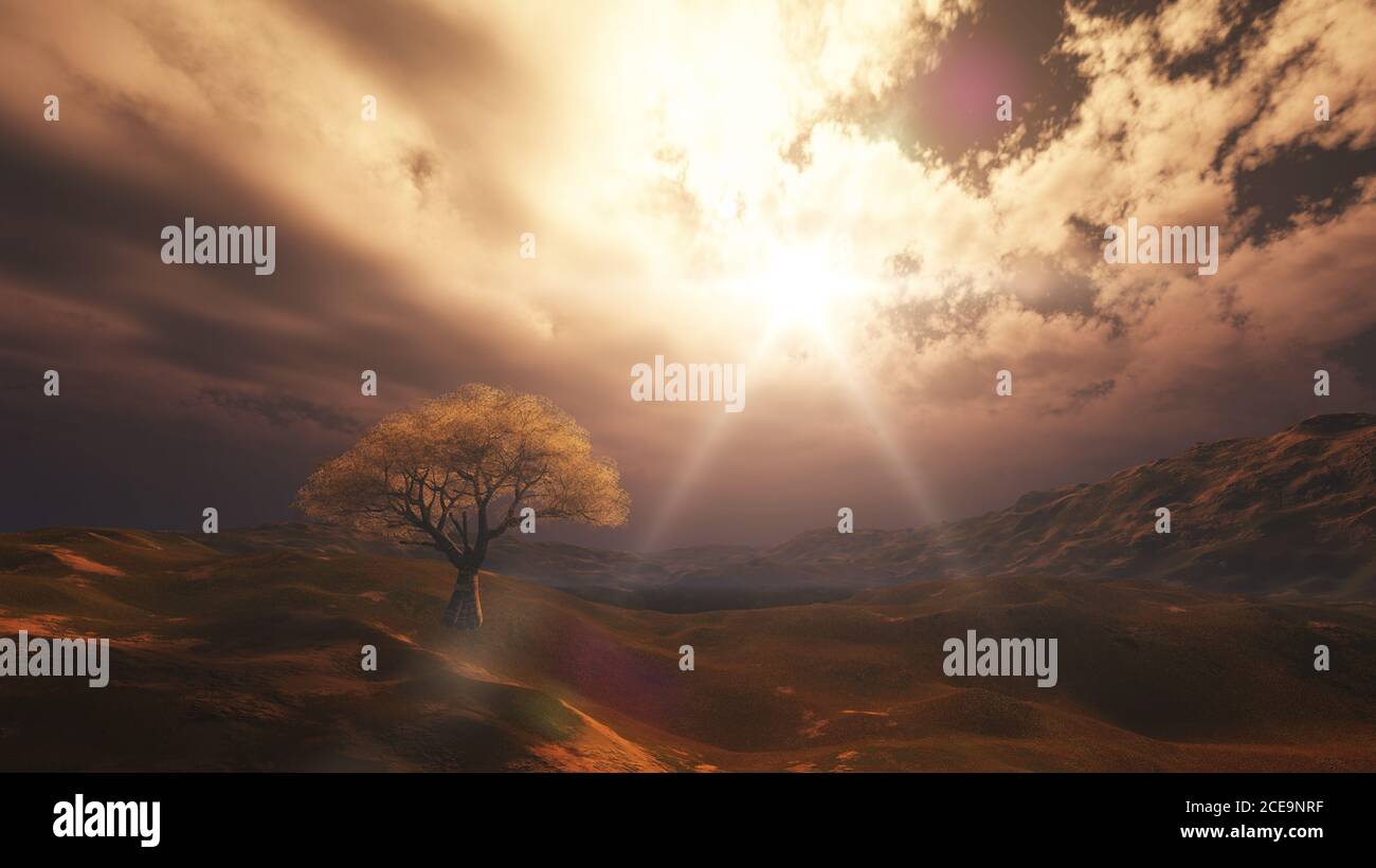sunset at meadow and lonely tree, 3d render illustration Stock Photo ...