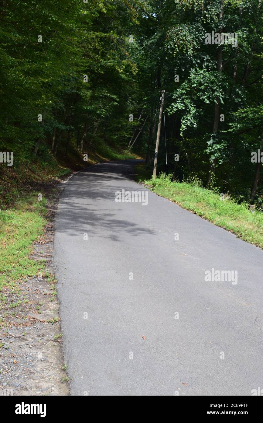 tiny forest road Stock Photo - Alamy