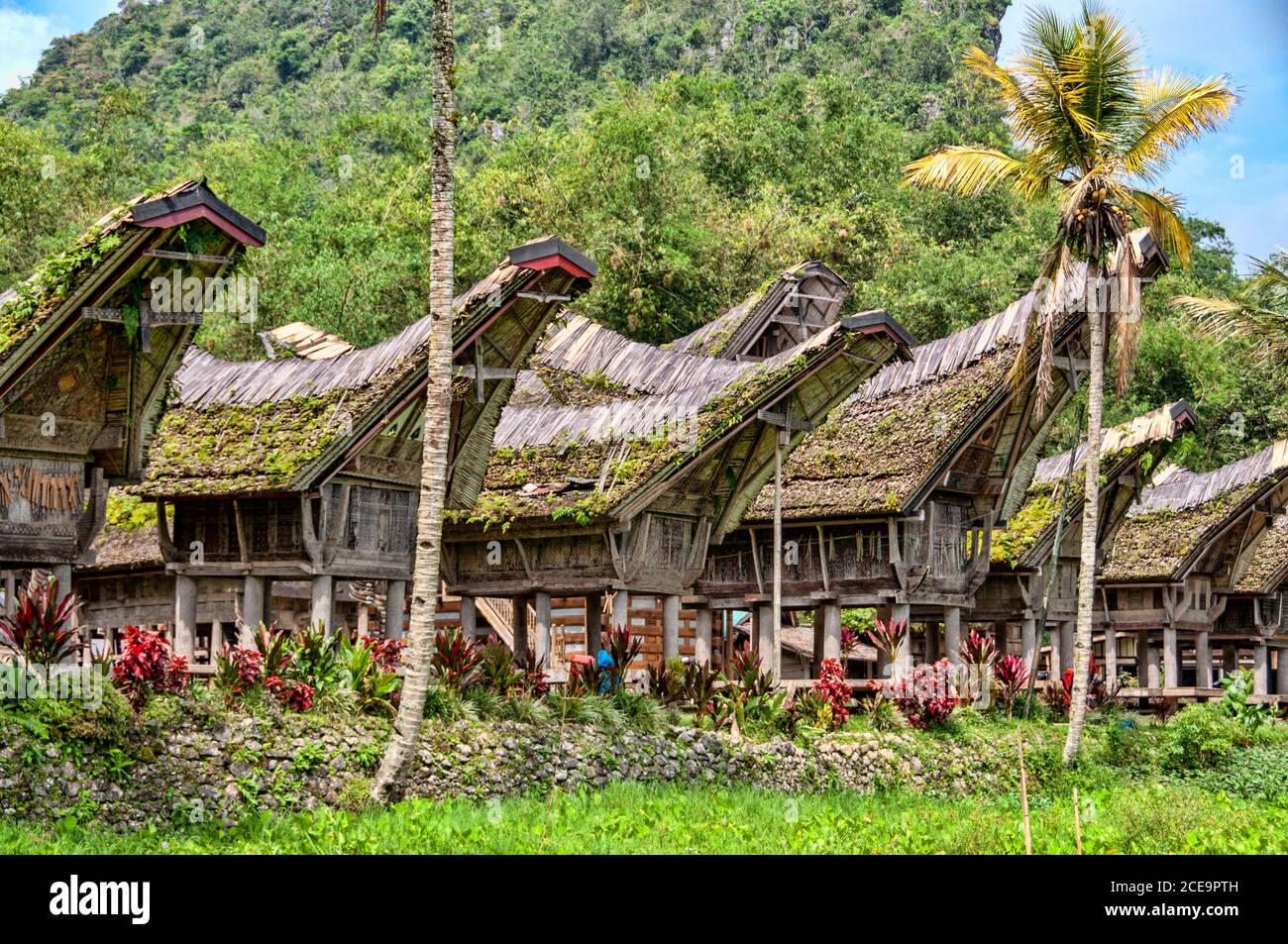 Kete'kesu, traditional Toraja village, Tona Toraja, South Sulawesi ...