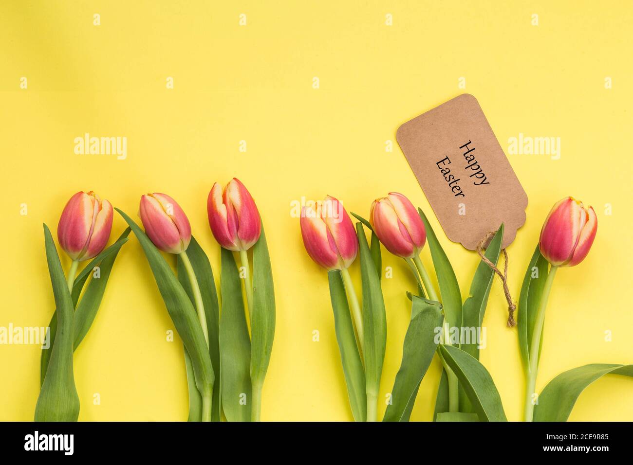 Spring concept. tulips with yellow background, text happy Easter, april ...