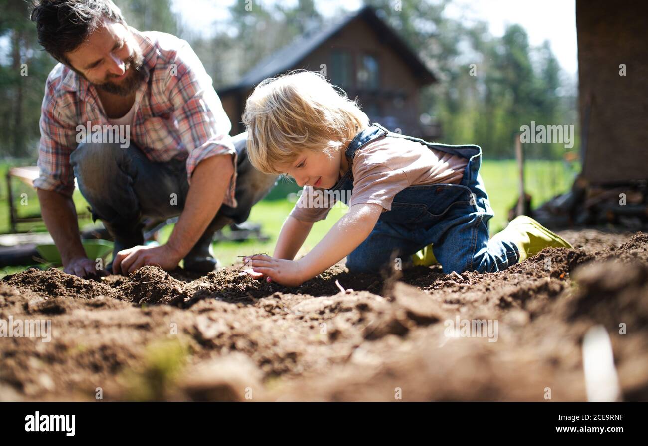 Father with small son working outdoors in garden, sustainable lifestyle ...
